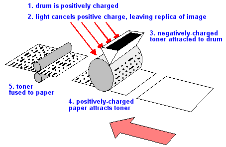 Electrophotographic dictionary definition | electrophotographic defined