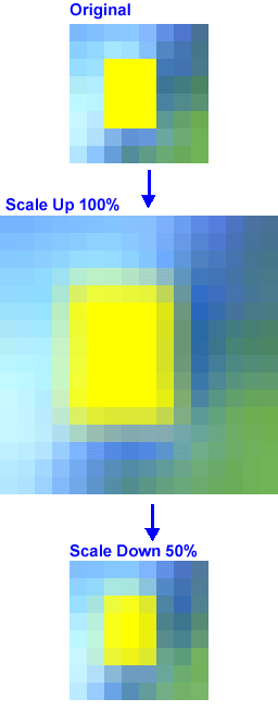 Scale dictionary definition | scale defined