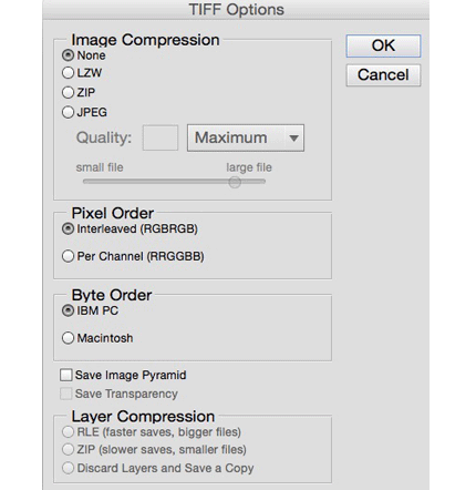 Tiff dictionary definition | tiff defined